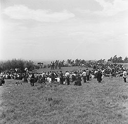 The Pondoland Revolts | South African History Online