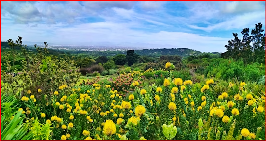 Southern Suburbs of Cape Town | South African History Online