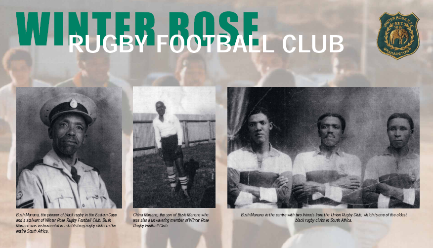 Winter Rose Rugby Football Club Images from 1900 - 1986 | South African ...