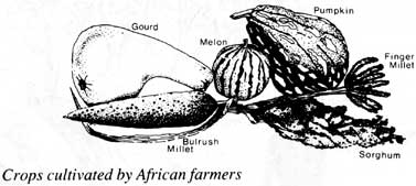 African farmers in Southern Africa | South African History Online