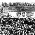 1985-The-Star-UDF-Rally-Sow.jpg | South African History Online