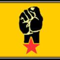 AZAPO_logo.jpg | South African History Online