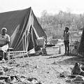 Forced Removals | South African History Online