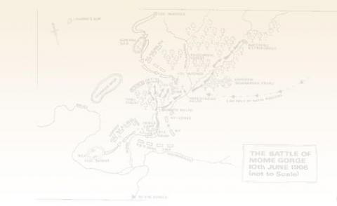 bambatha-background.jpg | South African History Online