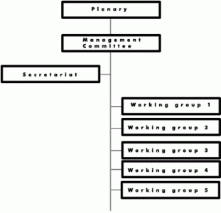 codesa.gif | South African History Online