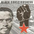 consciousness-collage.jpg | South African History Online