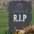 grave-rip.jpg | South African History Online