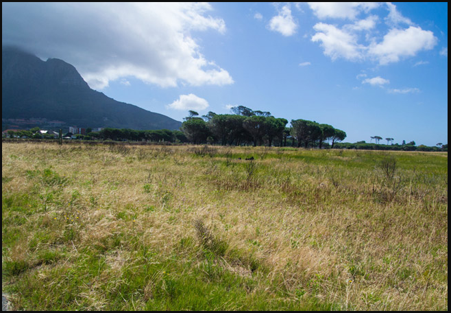 Rondebosch Common, Camp Ground Road, Rondebosch. | South African ...