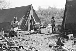 Timeline of Land Dispossession and Segregation in South Africa 1948 ...