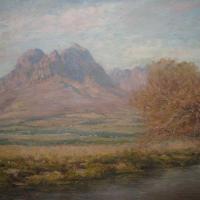 Edward Arthur Roworth | South African History Online