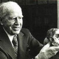 Raymond Dart completes work on Taung skull | South African History Online