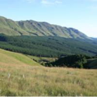 A Dakota air-liner, Paardeberg, crashes into Ingeli Mountain | South ...