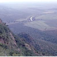 The Durban Supreme Court cancels the SA government’s announcement ...