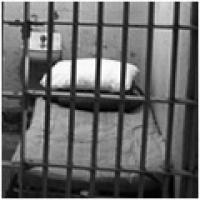 Four political detainees escape from Pretoria Central prison in one of ...
