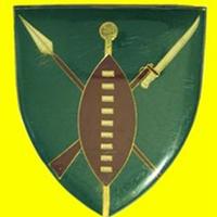 Bantu Holomisa deposes Stella Sigcau as President of the Transkei ...