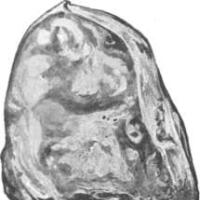 The Excelsior, biggest diamond till then, is found in the Jagersfontein ...