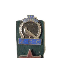 Joseph Lekganyane of the ZCC (Dove) dies | South African History Online