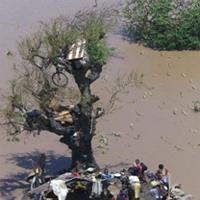 Heavy rains continue to ravage SA, Botswana, Mozambique and Zimbabwe ...