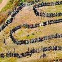 1994 Elections and Campaigning | South African History Online