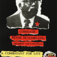 UDF Posters | South African History Online