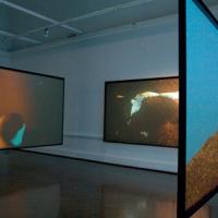 Berni Searle Gallery | South African History Online