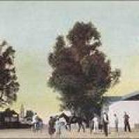 Rustenburg | South African History Online