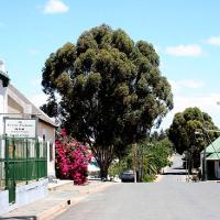 Home Page | South African History Online